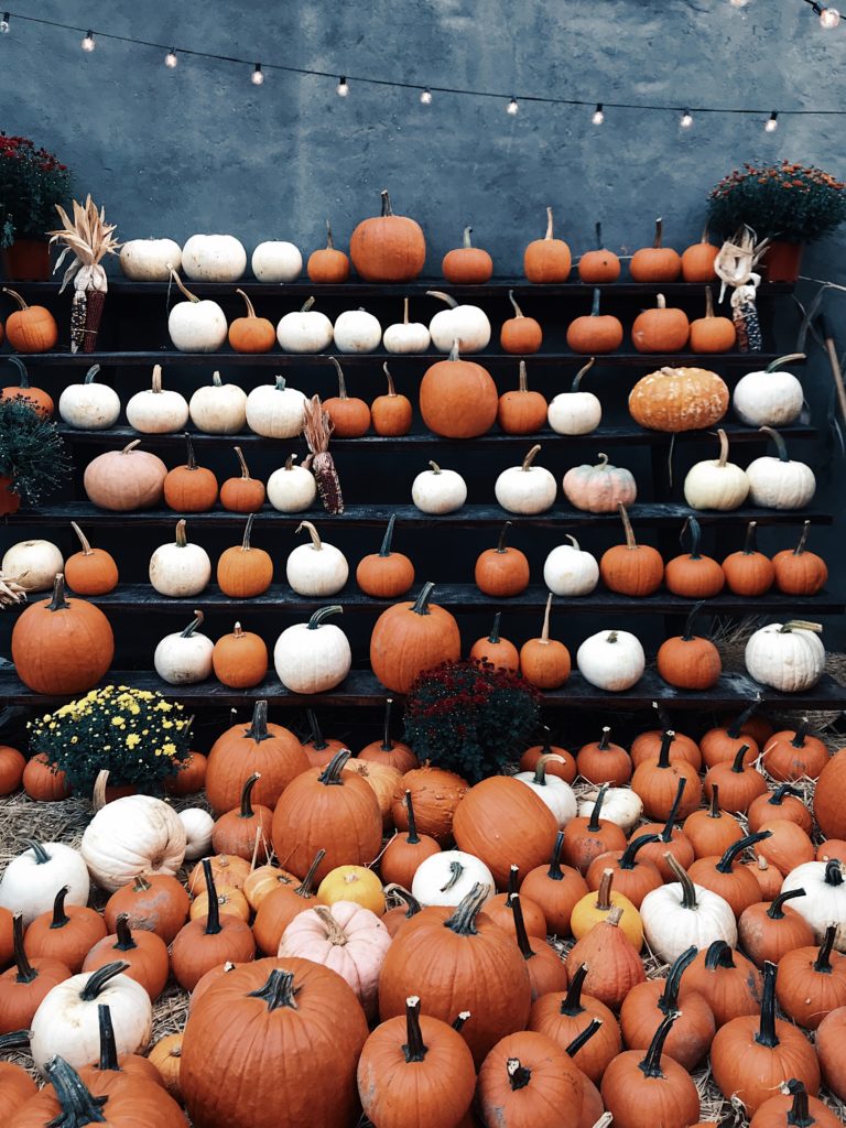 Local (DC Area) Pumpkin Patches - The Stokes Group